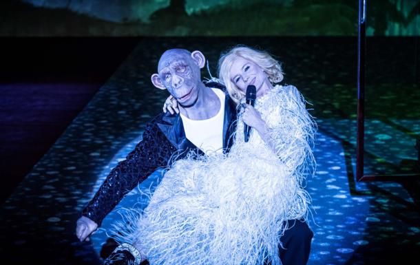 Elizabeth Costello | La Colline théâtre national